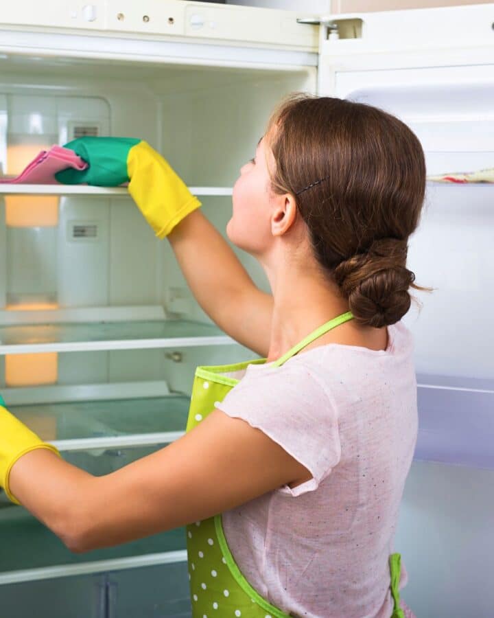 How To Clean Your Refrigerator in 15 Minutes - Suburban Simplicity