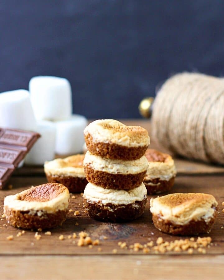 Yummy S'mores Bites Recipe - Suburban Simplicity