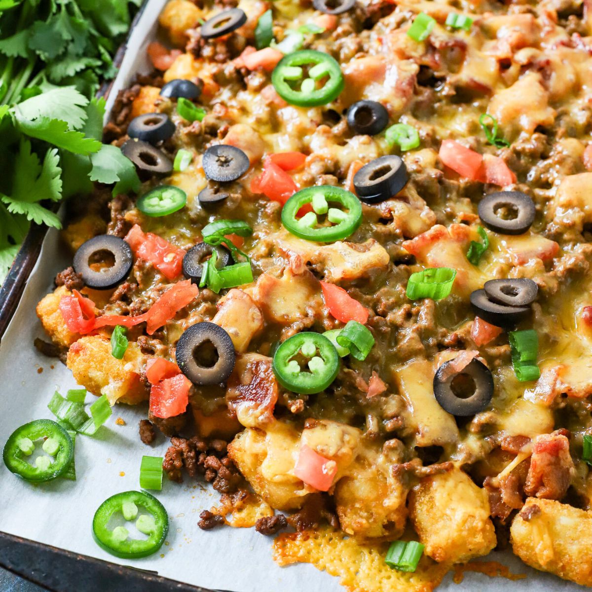 Tater Tot Nachos Totchos (Tater Tot Nachos) – Salted Plains