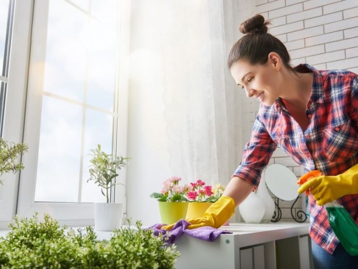 8 Best Tips for a Clean House - Suburban Simplicity