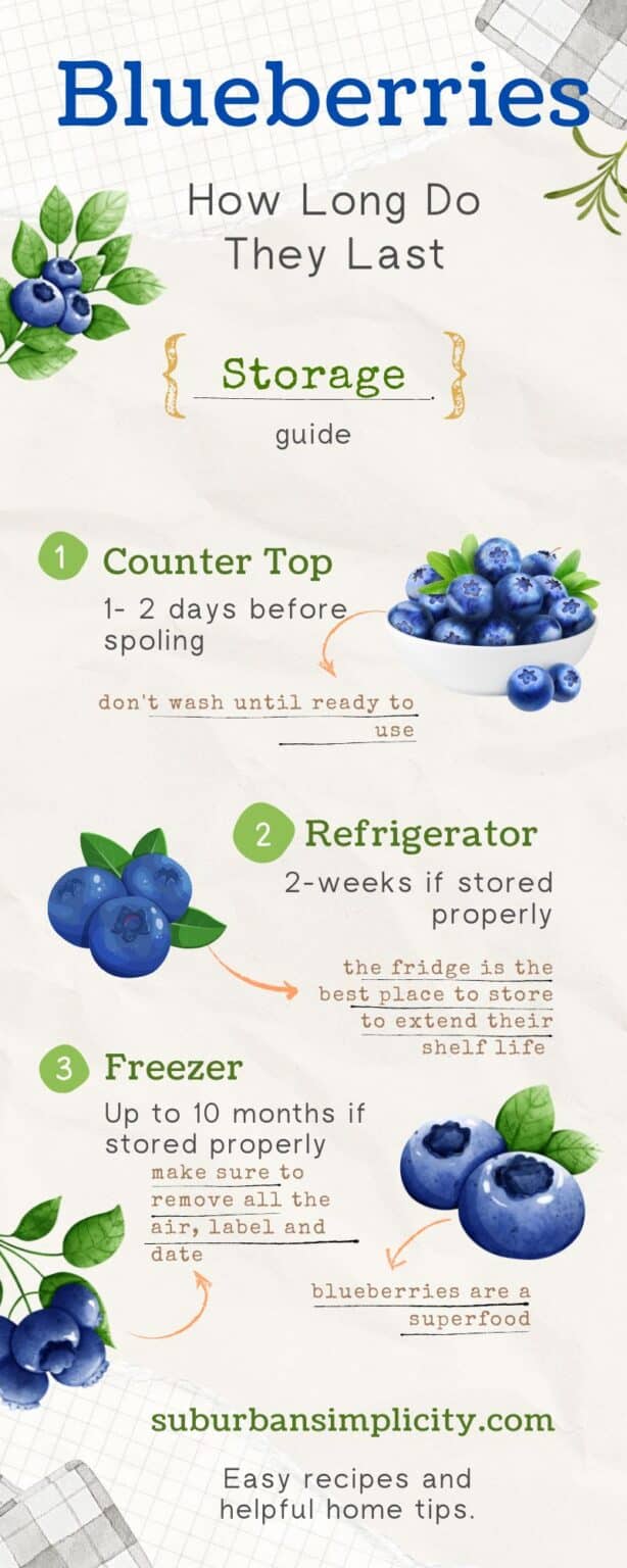 How to Store and Freeze Fresh Blueberries - Suburban Simplicity
