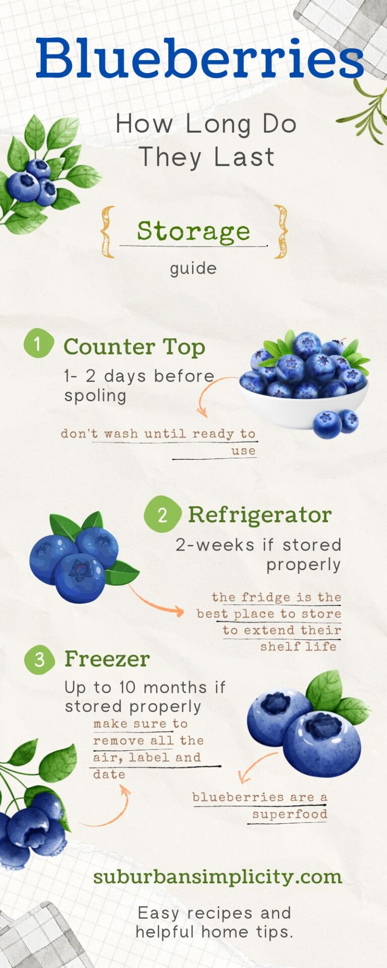 How to Store and Freeze Fresh Blueberries - Suburban Simplicity